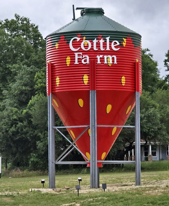 The world's most delicious traffic cone? This strawberry-shaped silo stands as the farm's cheerful landmark, visible from country roads away.