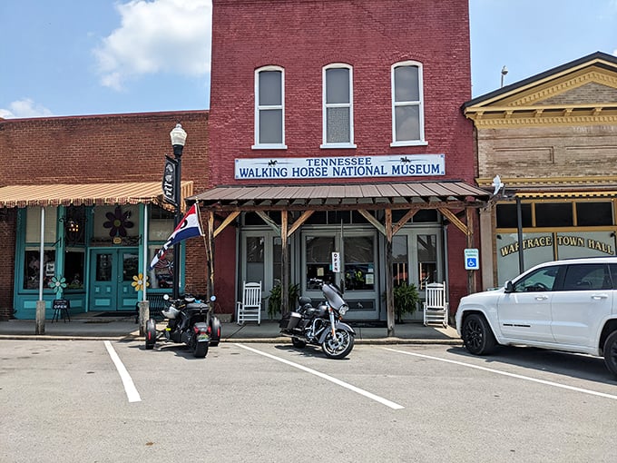 The Tennessee Walking Horse National Museum isn't just a building—it's the beating heart of Wartrace's equestrian heritage, complete with rocking chairs for proper Southern contemplation.