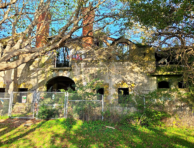 Nature reclaims what humans built. The haunting ruins of The Bells mansion whisper stories of Newport's Gilded Age through crumbling stone walls.