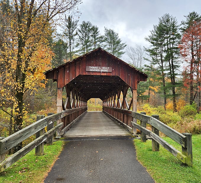 The Thomas L. Kelly Bridge: where autumn shows off like a Broadway star taking final bows.