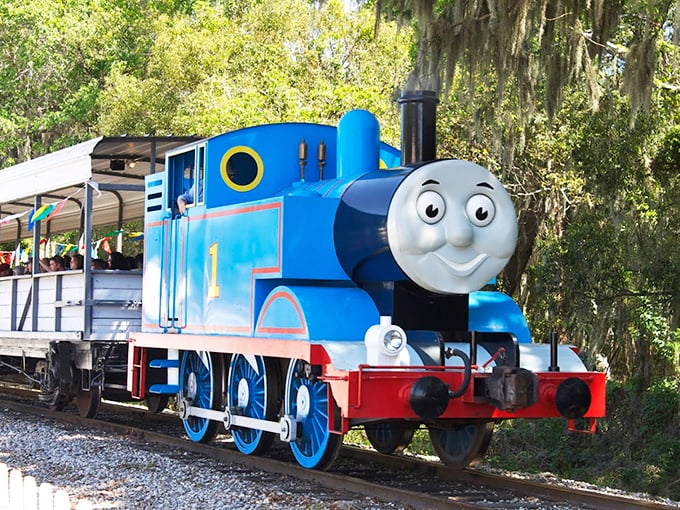 All aboard the magic express! Thomas the Tank Engine brings storybook charm to life, delighting young engineers and nostalgic grown-ups alike.