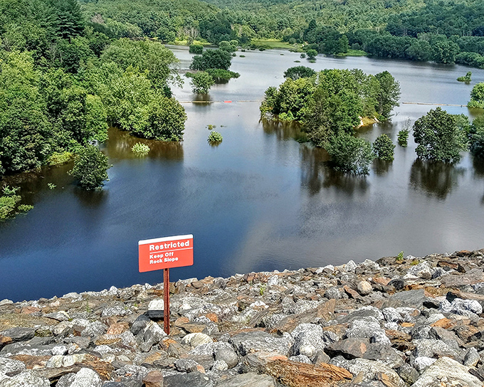 The Thomaston Dam creates this mesmerizing landscape where trees seem to grow right out of the water, nature's version of a Manhattan high-rise experiment.