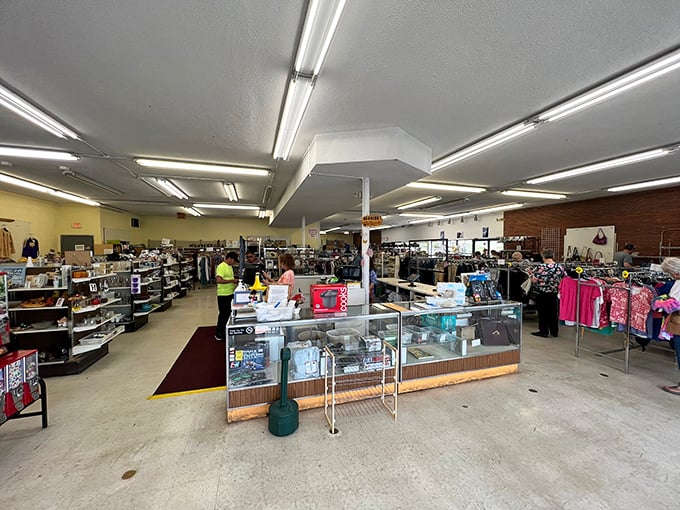 Fluorescent lights illuminate this Aladdin's cave of secondhand wonders. The central checkout counter serves as mission control for bargain hunters throughout the Black Hills.