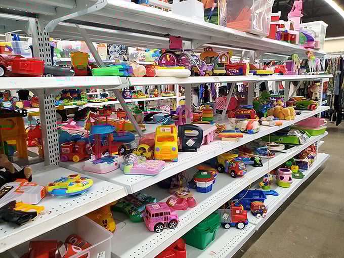 A rainbow explosion of plastic joy awaits in the toy section. Every forgotten Happy Meal toy and discarded Barbie accessory has found its forever home.