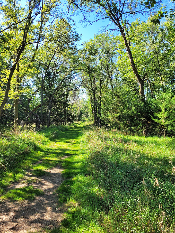 Nature's green cathedral. This sun-dappled trail at Lake Herman feels like walking through a scene from "The Lord of the Rings" – minus the orcs.