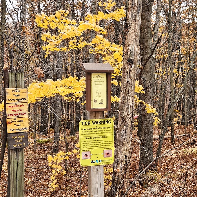 Nature's GPS system comes with a side of caution. These trail markers keep you on track while reminding you that ticks are Wisconsin's least charming wildlife.