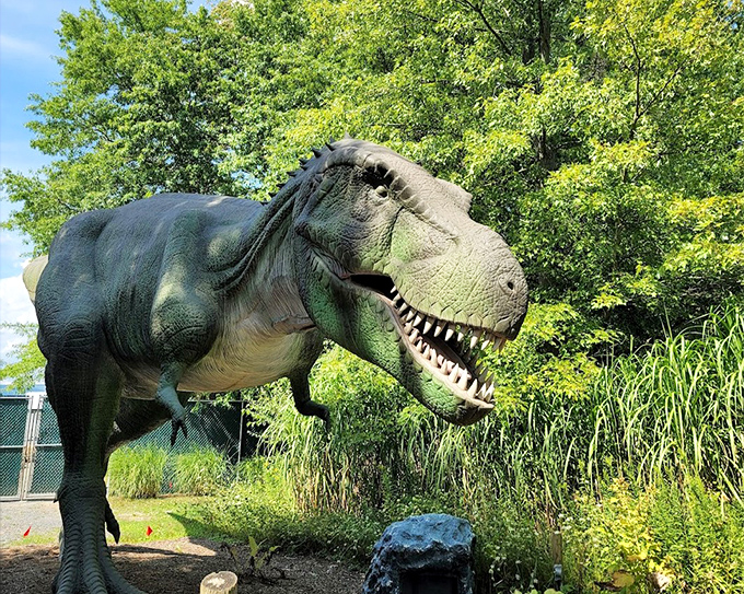 I'm pretty sure I ordered the small coffee. This impressively detailed T-Rex stands guard along the dinosaur trail, jaws agape as if mid-roar, bringing prehistoric nightmares to life in stunning detail.