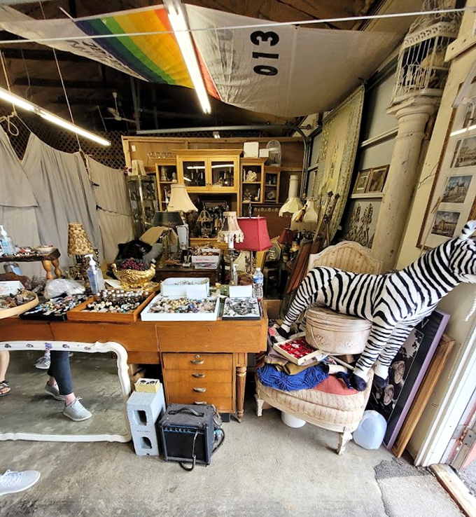 Inside stalls overflow with decades of memories, from vintage lamps to stuffed zebras, creating organized chaos you'll happily explore.