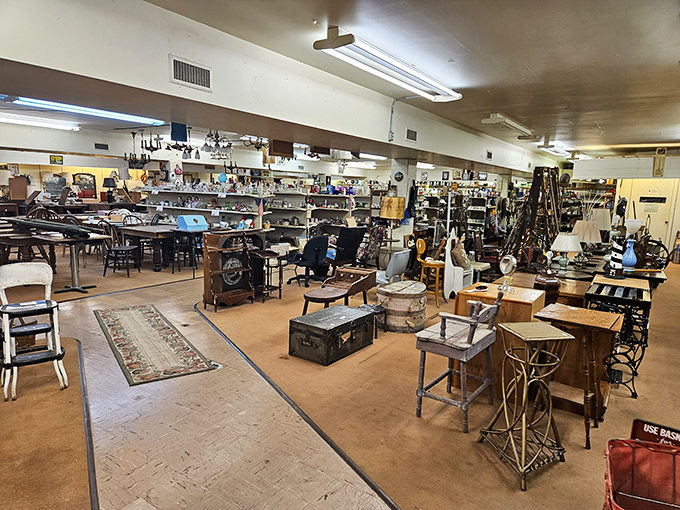 The ultimate treasure hunt unfolds in these sprawling rooms, where furniture from every era creates a timeline of American domestic life.
