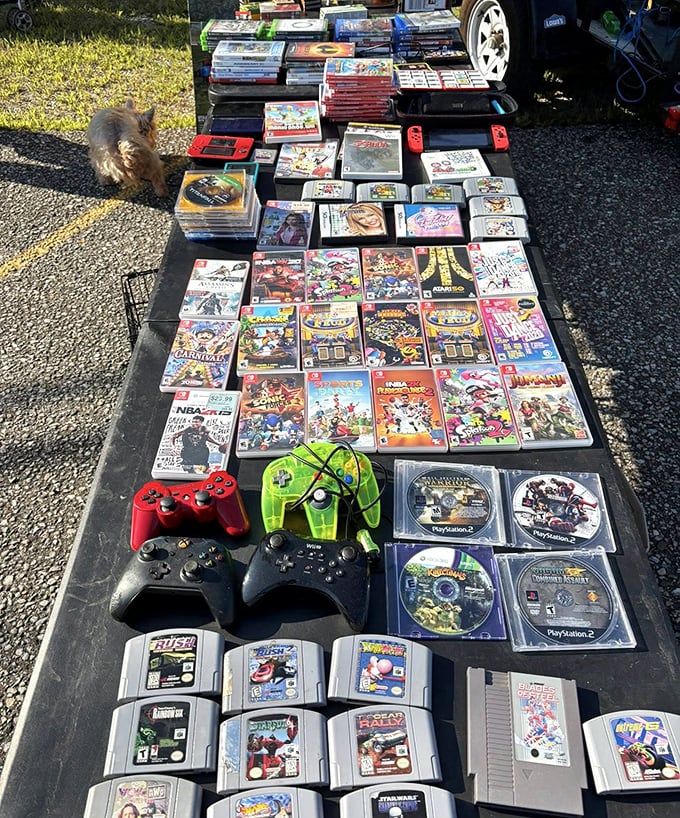 Gaming history laid out before you&mdash;from Nintendo cartridges to PlayStation discs&mdash;with a furry friend serving as unofficial quality control inspector.