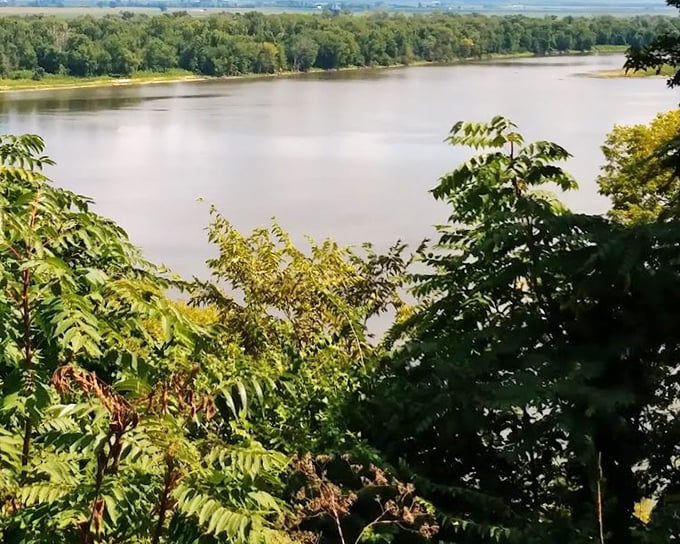 Nature frames the mighty Mississippi as seen from Cardiff Hill, where Twain's boyhood adventures still seem to ripple across the water.