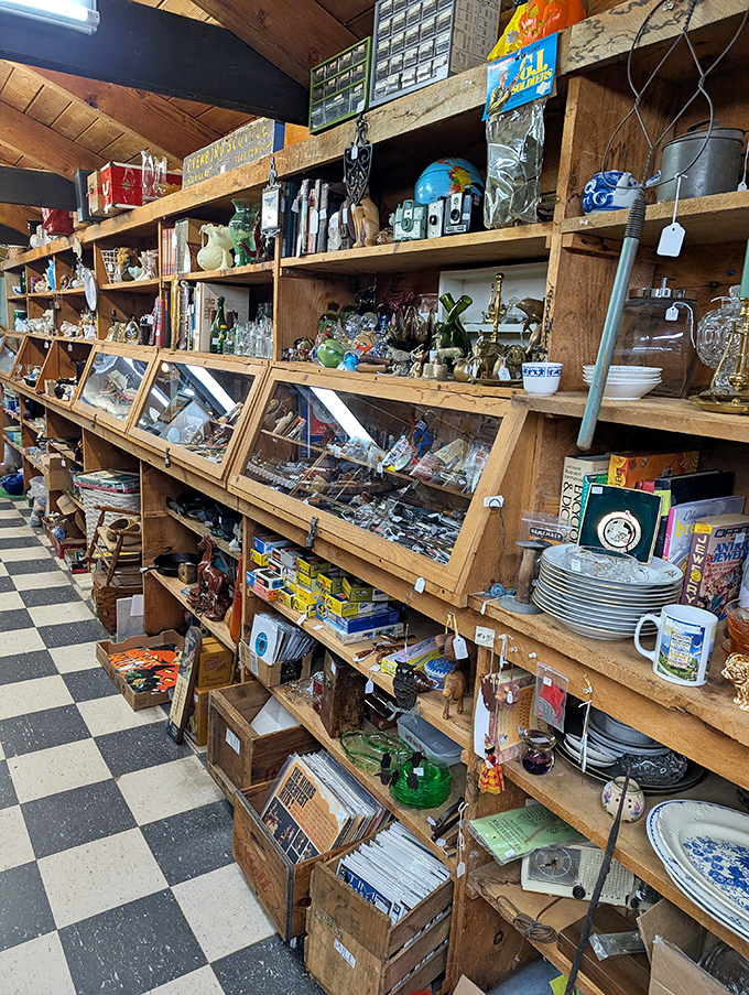A time traveler's dream aisle where every shelf tells a different story. That checkered floor practically screams "follow me to something wonderful!"