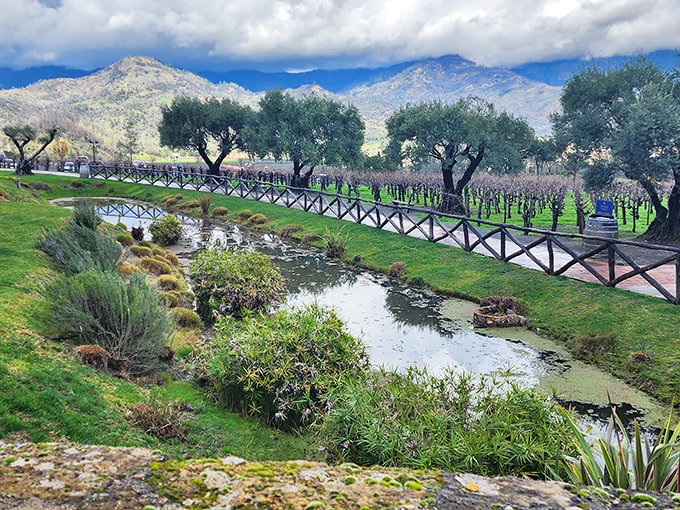 Autumn vineyards frame this medieval masterpiece like nature's perfect Instagram filter. Who needs European travel when California delivers this?