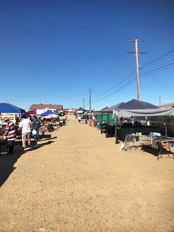 The dusty thoroughfare of commerce beckons shoppers under the brilliant New Mexico sky, a modern-day silk road of bargains.