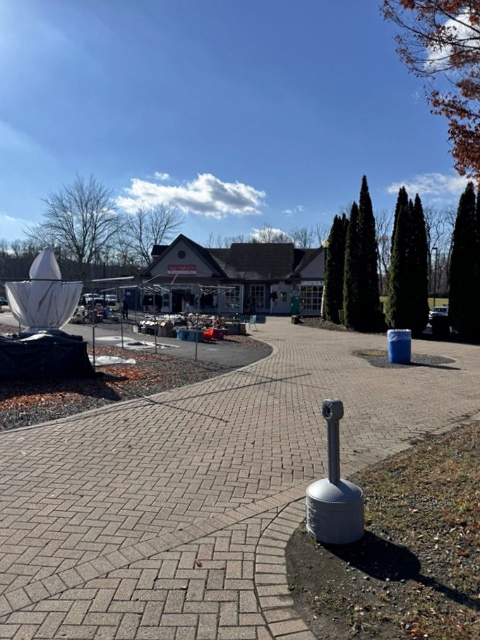 Wide brick pathways mean you can comfortably wander for hours without feeling like a sardine in someone's bizarre shopping experiment.