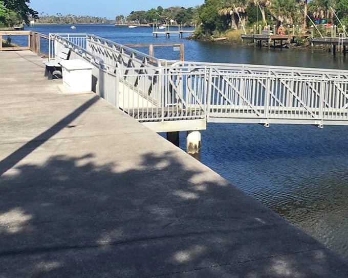 This boardwalk isn't just a path over water&mdash;it's a front-row ticket to Florida's greatest natural theater production.