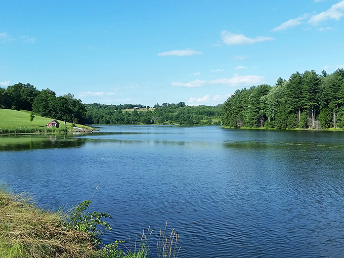 Summer serenity in full display&mdash;where Pennsylvania's rolling hills embrace crystal waters in a landscape that refuses to be ordinary.