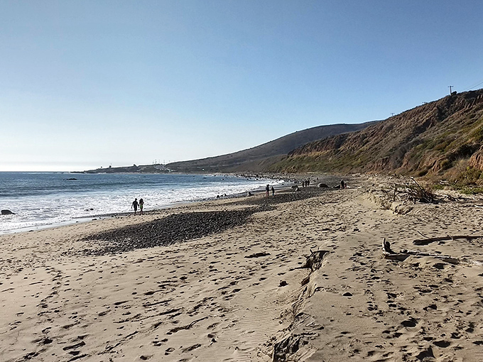 Coastal chaparral camping: where desert meets ocean in a uniquely Californian landscape. Your temporary address in paradise.