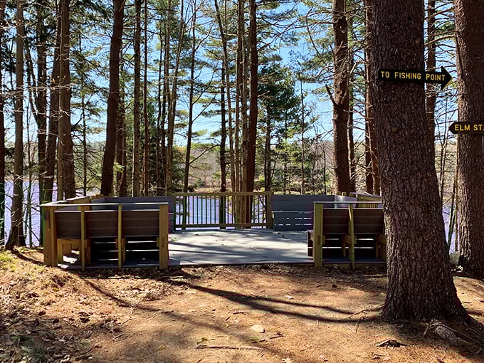 Nature's front-row seats await at this lakeside viewing platform, where pine-scented breezes and rippling waters provide better entertainment than any streaming service.