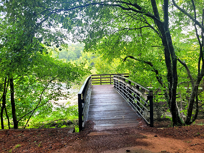 Every wooden footbridge tells a story, but this one whispers secrets about fishing holes and forgotten picnics from decades past.