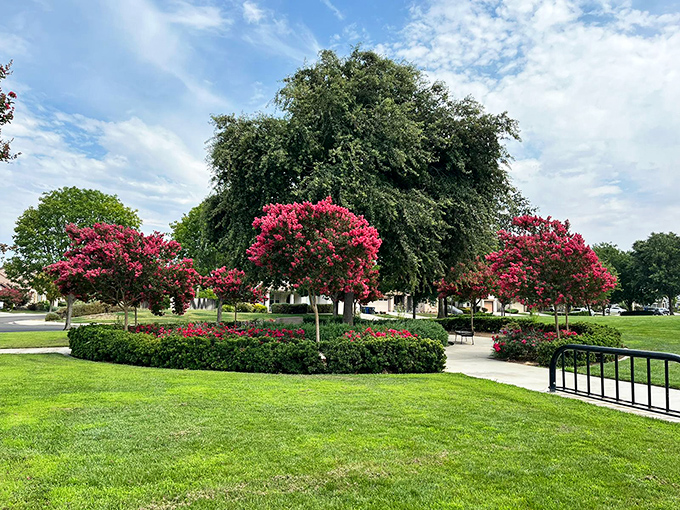 Nature's color palette explodes in Patterson's public spaces, where crimson blossoms frame verdant lawns&mdash;a living painting that changes with the seasons.