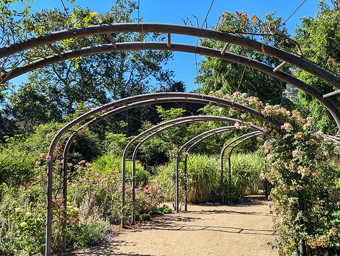 Follow the curved archways into what feels like a secret garden chapter from a storybook. Adventure awaits around every bend.