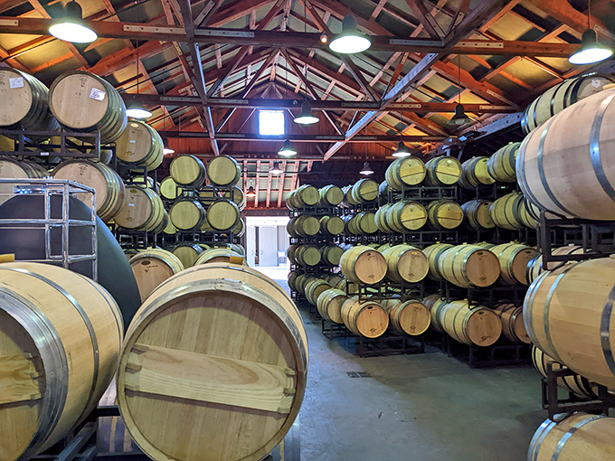 Wine's patient slumber in oak barrels, where time works its magic. The cathedral-like barrel room speaks volumes about craftsmanship.