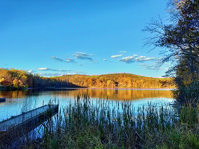 Autumn's grand finale at Shepherd Lake, where the trees dress in their Sunday best and the water mirrors their fashion show.