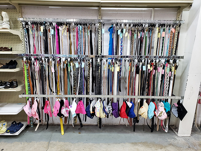 A rainbow of belts and caps awaits new owners &ndash; fashion's version of adoption, where yesterday's accessories find tomorrow's outfits.