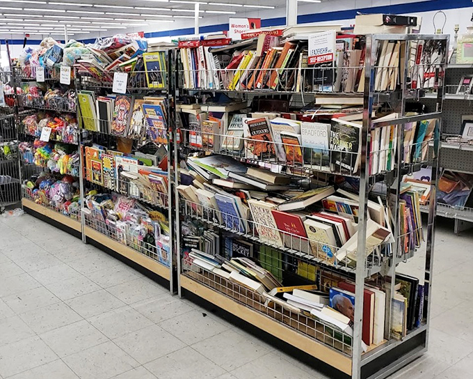 Literary gold mines await bibliophiles - from forgotten classics to yesterday's bestsellers, all patiently waiting for new homes.