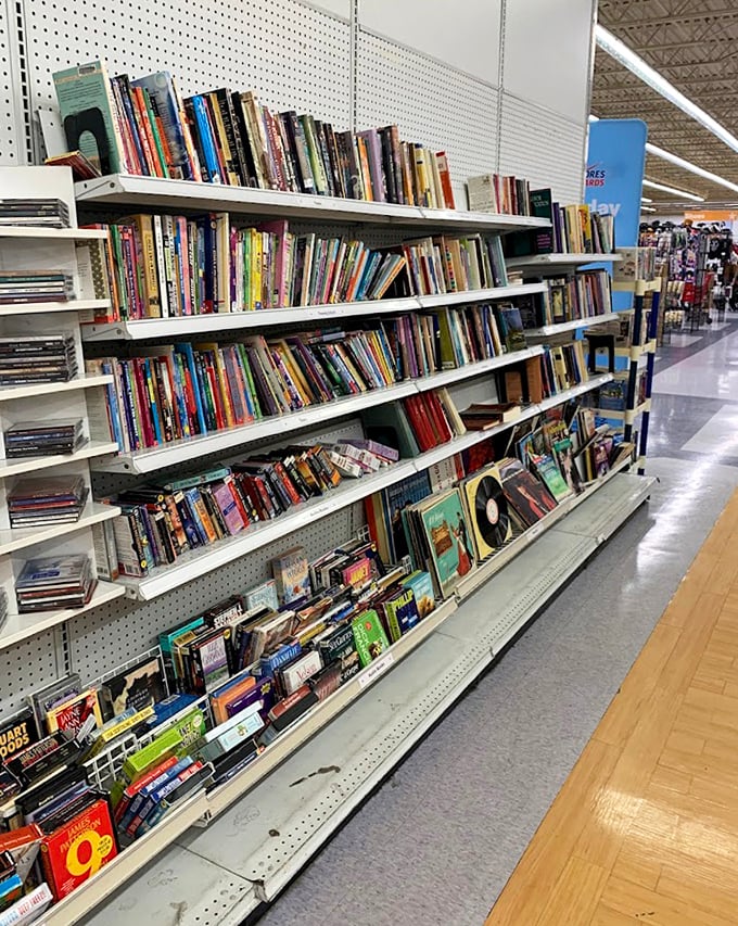Literary gold mines await between these shelves. Someone's discarded Stephen King might become your midnight companion for pocket change.