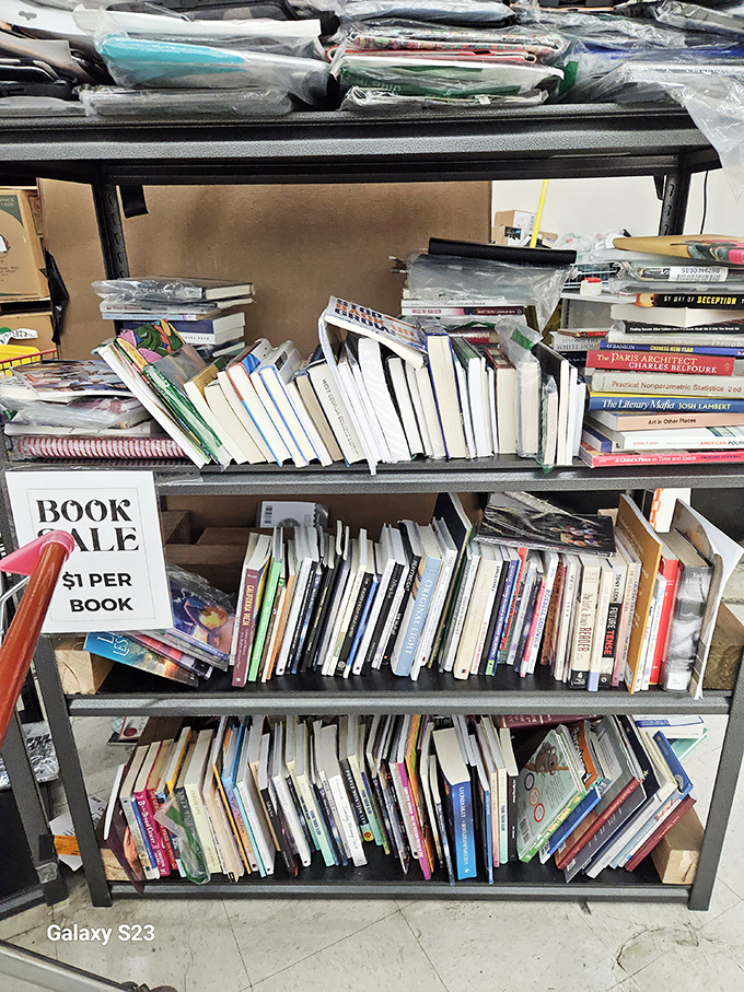 Literary treasure hunters rejoice! At just $1 per book, you could build a respectable home library for less than the cost of a fancy dinner.