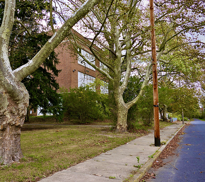 Those tree-lined streets aren't just pretty&mdash;they're walkable! Mays Landing's pedestrian-friendly layout makes car-optional living a delightful reality.