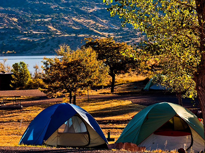 Those tents are pitched with more precision than most people parallel park their cars these days.