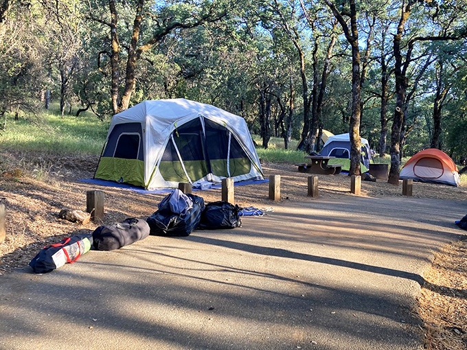 Camping beneath ancient oaks feels like borrowing Mother Nature's guest room, complete with natural air conditioning and stellar views.