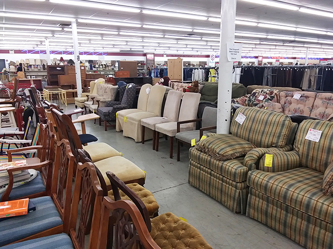 Furniture paradise where your living room dreams meet prices that won't require a second mortgage.