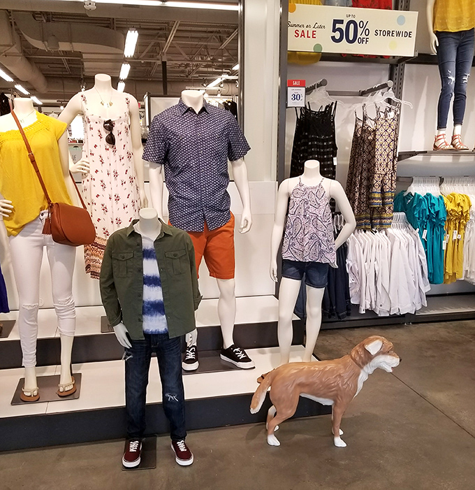 Fashion mannequins lined up like contestants on a runway show, with a surprise canine judge ready to award style points.