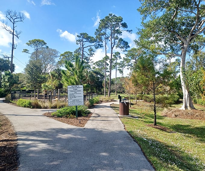 Nature's welcome committee greets visitors with towering pines and well-maintained paths, a refreshing departure from Florida's typical palm-lined entrances.