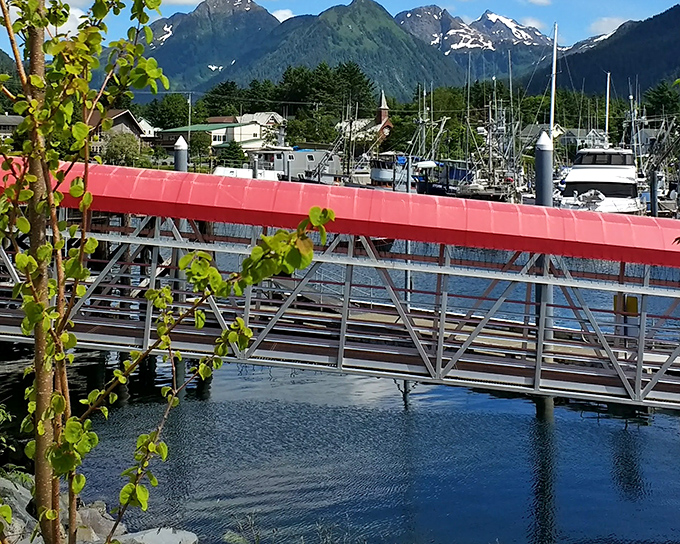 The red-roofed walkway bridges Sitka's harbor to adventure, with snow-capped mountains standing guard like nature's own welcoming committee.