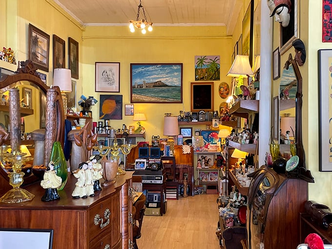Not your average living room setup. Every shelf tells a story, every corner hides a potential heirloom waiting for its second act.