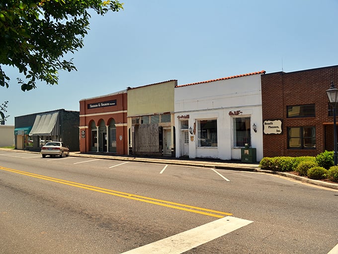 Sunlight bathes Greenville's quiet commercial district, where small businesses have weathered economic storms with the same resilience as Southern magnolias after a summer downpour.