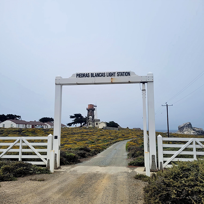 The entrance gate promises adventure without the crowds &ndash; no Mickey Mouse ears required for this authentic slice of maritime history.