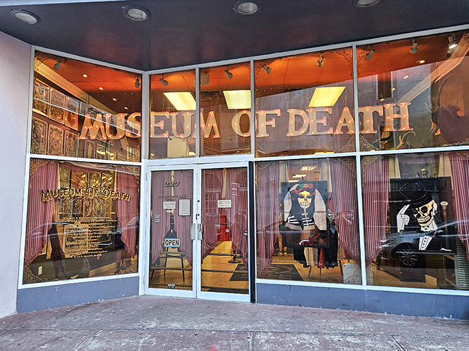 Fair warning: those entrance doors lead to exhibits that redefine the phrase "conversation starter" at parties.