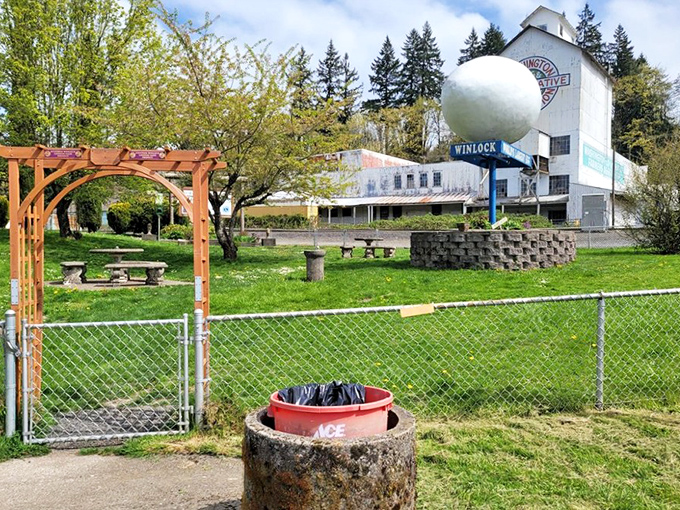 A peaceful park setting frames the World's Largest Egg, where picnic tables invite visitors to enjoy lunch in the shadow of Winlock's famous monument.