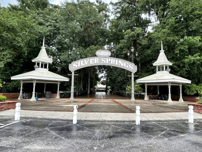 The park's elegant entrance pavilions stand like sentinels from another era, guarding the natural treasures that have captivated visitors for generations.