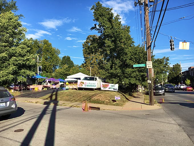 The corner of Bardstown Road transforms into a vibrant community hub where food connects neighbors better than any social media ever could.