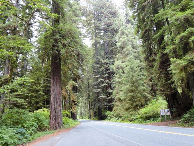 The entrance beckons with a promise: leave your worries at the highway. These giants have been solving problems by simply existing for centuries.