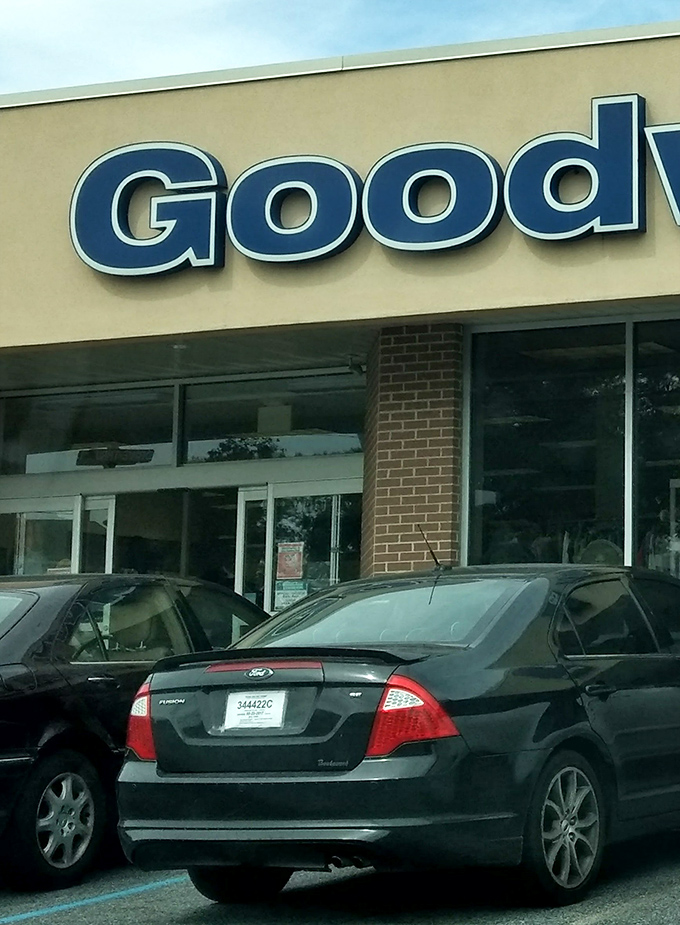 That classic Goodwill blue beckons like a siren song to anyone who appreciates a good deal.
