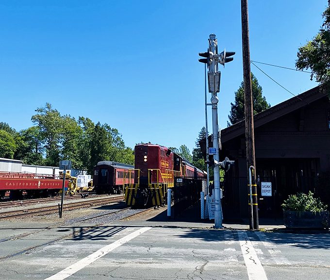 Classic Americana meets natural splendor at the Willits depot, where vintage locomotives await their next adventure through the timeless landscape. 