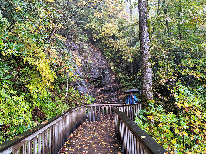 Autumn's confetti decorates this wooden walkway to Ada-Hi Falls. Even on rainy days, this short trail delivers a payoff worthy of your waterproof hiking boots.